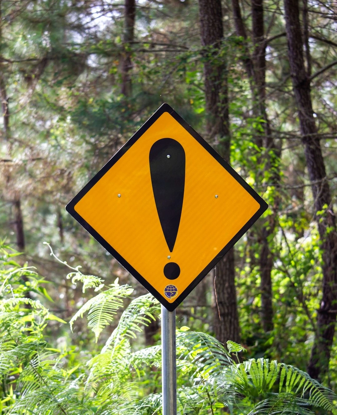 Frequently Asked Questions | CCDI Community